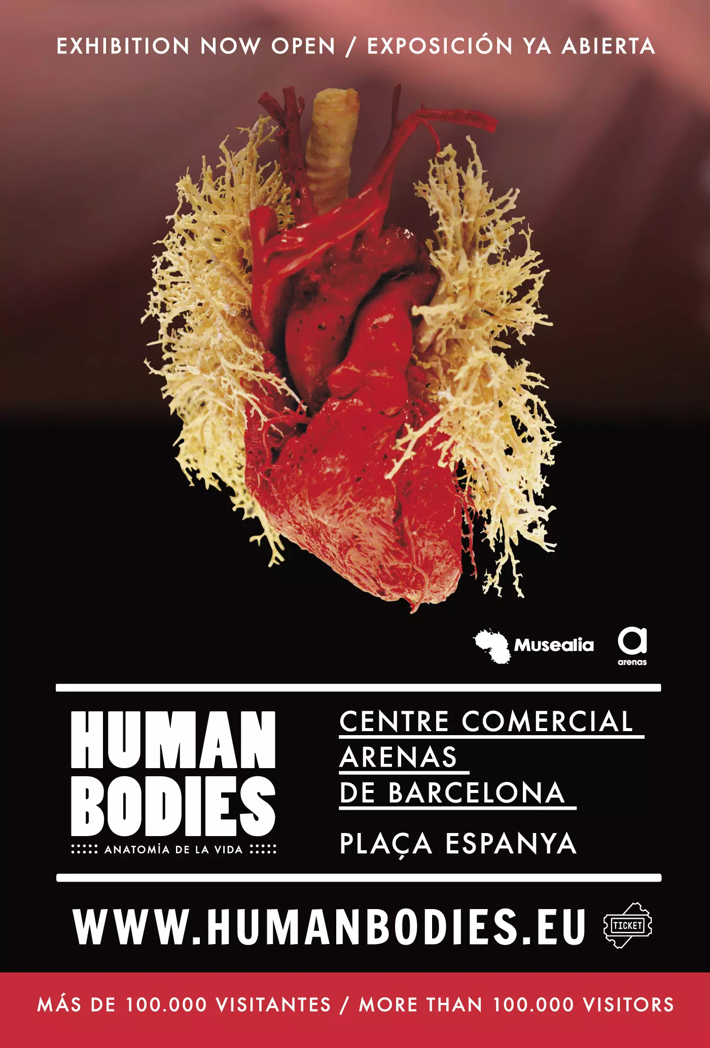 Exposición Human Bodies en Barcelona