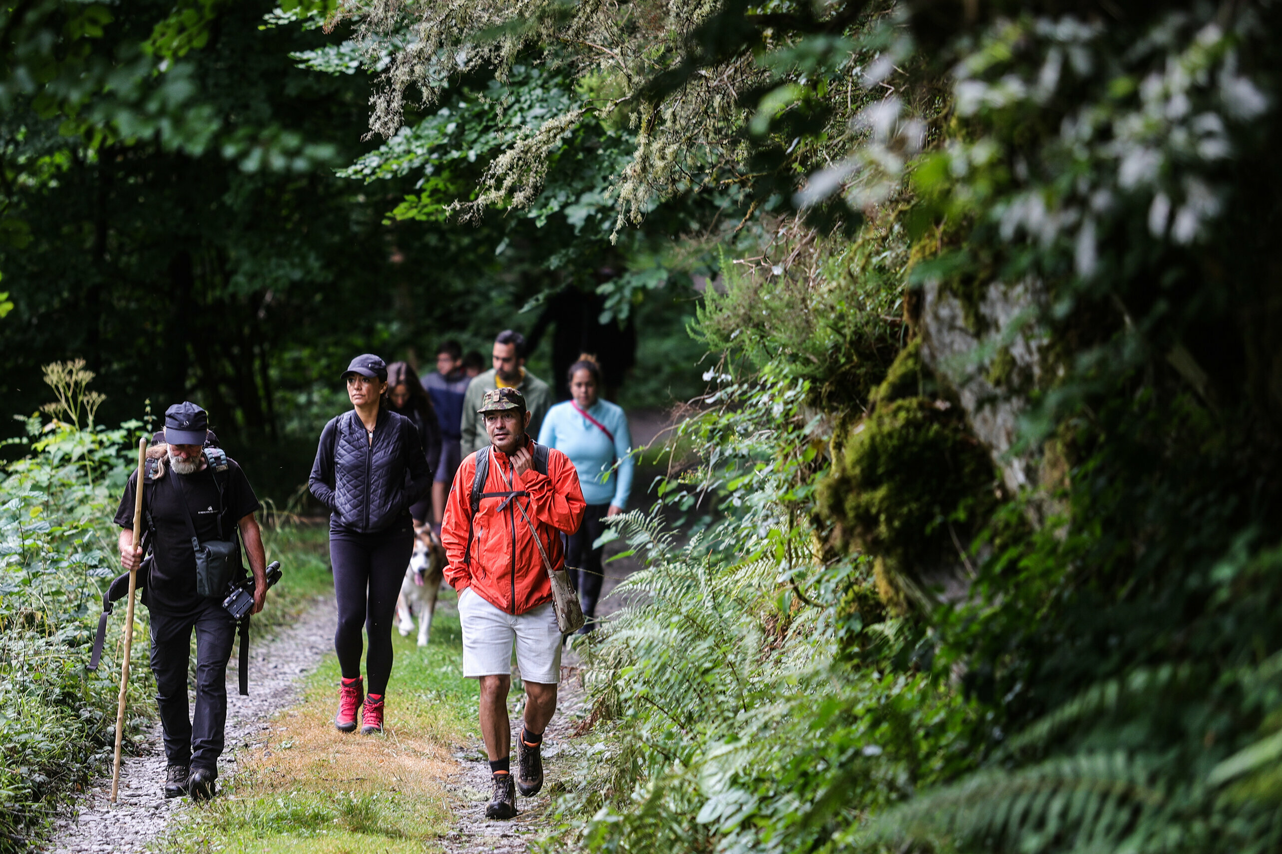 Ruta por el Bosque de Moal | Comprar online | Taquilla.com