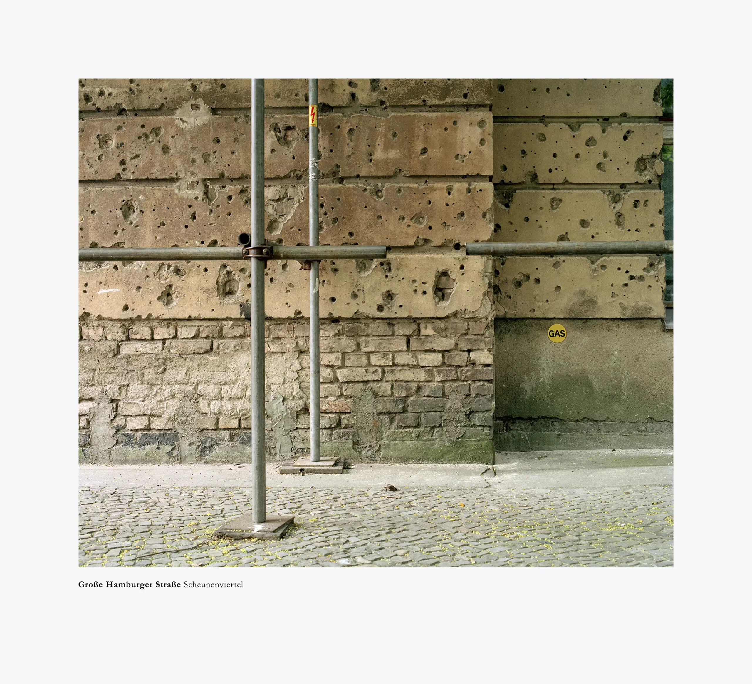 Exposición Bleda y Rosa 2026 | Taquilla.com